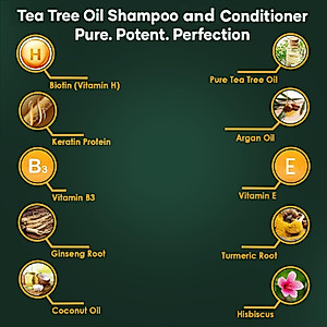 Tea Tree Shampoo and Conditioner Set - Deep Cleansing, Strengthening and Shine-Boosting Formula for Dry Scalp - For Men & Women - 16 fl oz each