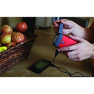 Eton - American Red Cross Clipray Crank-Powered, Clip-On Flashlight & Smartphone Charger,Cherry Red,Hand Crank, Hands Free Carabiner Clip, Pack of 2