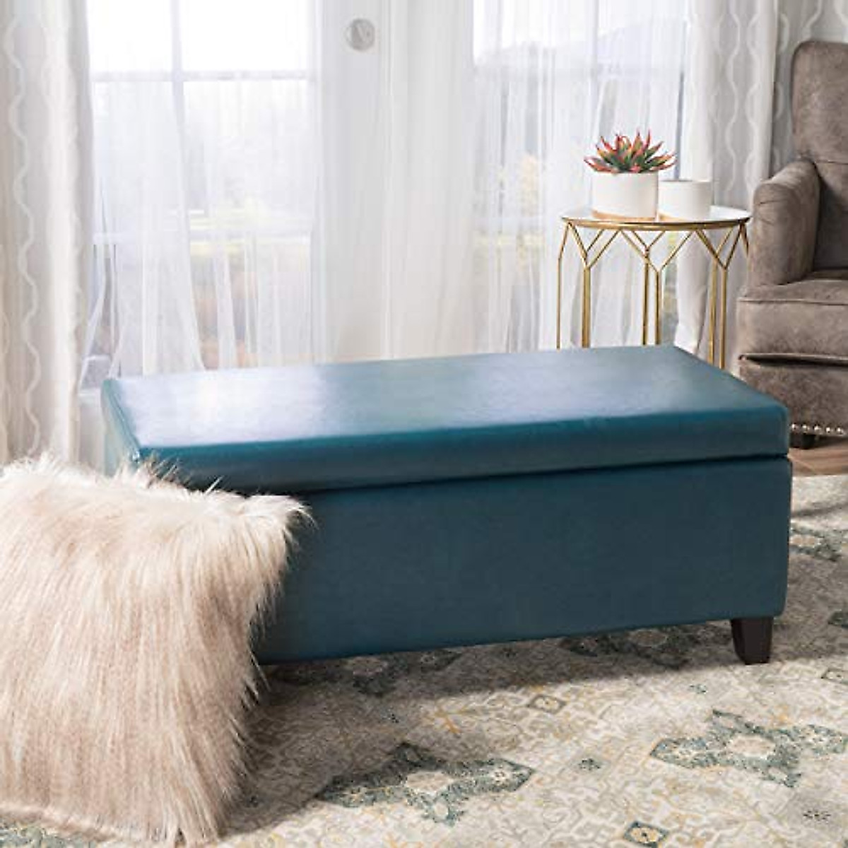 Christopher Knight Home Breanna Leather Storage Ottoman, Teal