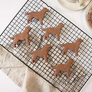 Labrador Retriever Body cookie cutter, 1 piece - Bakerlogy