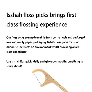 Natural Dental Floss Picks - 200 Count - BPA Free, Vegan, Sustainable, Eco Friendly, Natural Dental Flossers by Isshah (Mint)