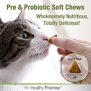 Four Paws Healthy Promise Pre and Probiotics for Cats Soft Chews 90 Count