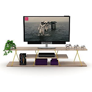 Overstock SavaHome Tristana TV Unit Oak