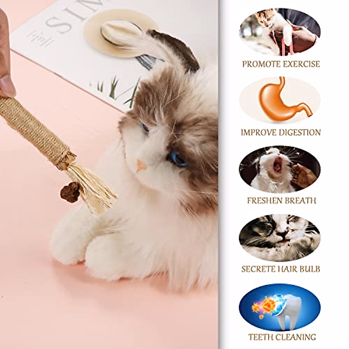 KINBOM 4pcs Cat Chew Toys Natural Silvervine Cat Dental Chew Sticks Cleaning Teeth Chew Catnip Toys for Cat Treat Cat Lick