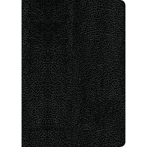 KJV Life Application Study Bible, Third Edition, Large Print (Bonded Leather, Black, Indexed, Red Letter)