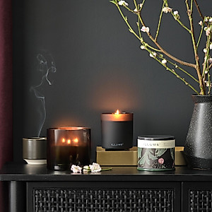 Illume Beautifully Done Essentials BlackBerry Absinthe Boxed Glass Scented Soy Candle