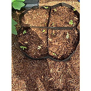 2 Pack Fabric Raised Garden Beds 2FT X 2FT 4 Holes Square Fabric Raised Planting Bed for Vegetables Outdoor and Indoor