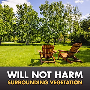 Spectracide HG-66420 Stump Remover, Case Pack of 1