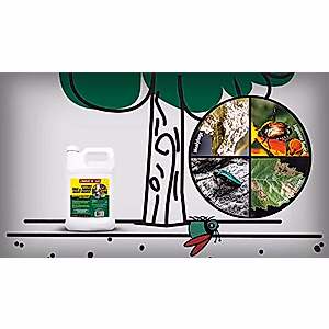 Compare-N-Save Systemic Tree and Shrub Insect Drench - 75333, 1 Gallon
