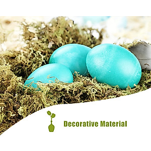 O-FarFarm Dried Forest Moss for Plants 5.3oz / 3qt, Green Orchid Sphagnum Moss, Long Fibered Dried Moss for Succulents Garden Flowers Pot and Reptiles