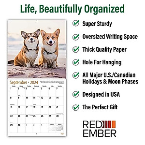 RED EMBER Corgis 2024 Wall Calendar 12 Month | 12" x 24" Open | Thick & Sturdy Paper | Giftable | Calendar 2024