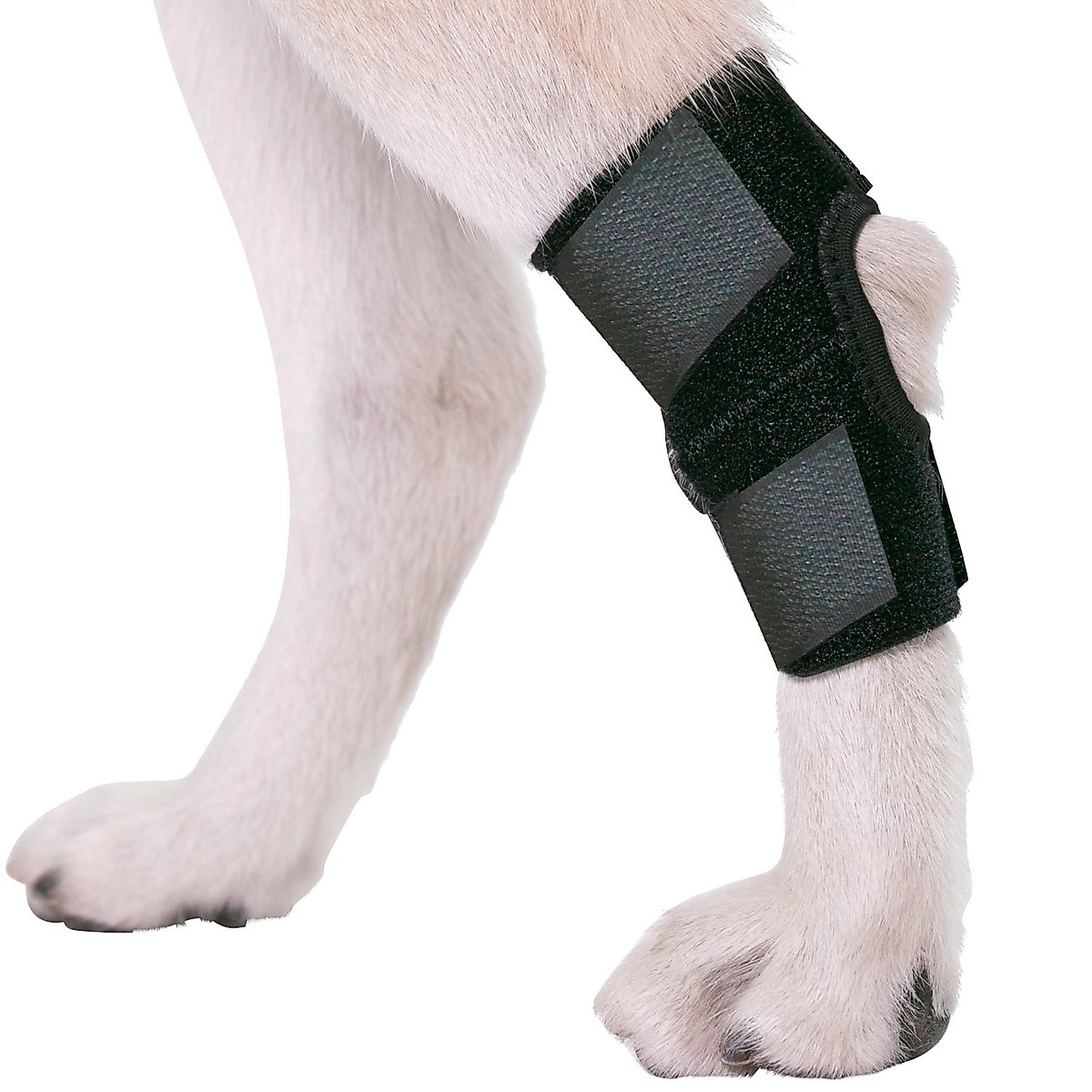 Agon® Dog Leg Braces For Back Leg wrap hock compression protects wounds and helps heal hind legs rear ankle joint, preventing injuries, sprains providing stability for dogs, canines arthritis (Medium)