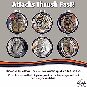 Four Oaks Farm Ventures, No Thrush Dry Powder Treatment for Horses - Wound Care, Scratches, Rain Rot, Mud Fever, Coat Issues - All Natural Ingredients, Non-caustic, Easy to Use Powder Formula (2.5 oz)