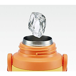 Skater SSPV4 Stainless Steel Children's Water Bottle, 12.8 fl oz (380 ml), Straw Drinking, 3D, Winnie the Pooh, Disney