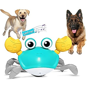 HONGID Crawling Crab Dog Toys,Escaping Crab Dog Toy with Obstacle Avoidance Sensor,Interactive Dog Toys with Music Sounds & Lights for Dogs Cats Pets,Christmas Toy Gift for Puppy/Small/Medium Dogs
