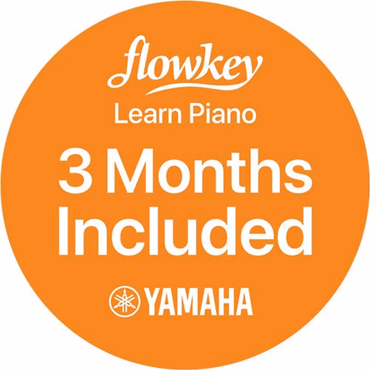 Yamaha EZ300 61-Key Portable Keyboard with Lighted Keys and PA130 Power Adapter