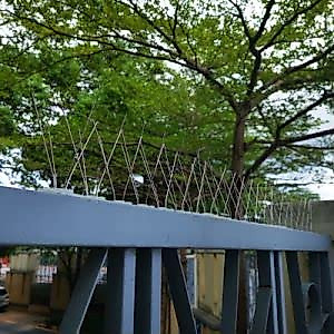 Bird Spikes, Stainless Steel Bird Spikes Bird Deterrent Spikes Stainless Steel Anti Bird Spikes for Fence Roof Window Bird Spikes for Pigeons and Other Small Birds Bird Spikes for Small Birds