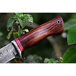 SHARD Hunting knife, Handmade Damascus Hunting Knife, Damascus Steel Hunting Knife with Sheath,Fixed blade Knife for Men,Full Tang Knife,Camping Knife, Skinning Knife,Survival Knife