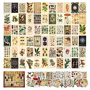 ANERZA 100 PCS Vintage Wall Collage Kit Aesthetic Pictures, Cottagecore Room Decor for Bedroom Aesthetic, Posters for Room Aesthetic, Cute Dorm Photo Wall Decor for Teen Girls, Botanical Wall Art