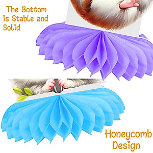 Hamster Honeycomb Centerpieces 11Pcs Hamster Birthday Party Decorations Hamster Table Decorations Guinea Pig Centerpeces for Table Hamster Theme Baby Shower Supplies