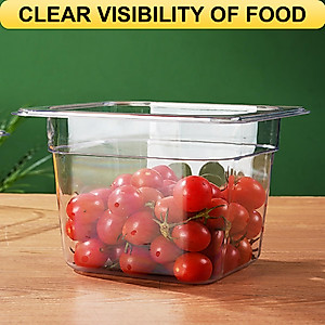 Plastic Food Pan, 1/9 Size 4 Inch Deep Commercial Food Pan, 6 Pack Polycarbonate Plastic Clear Storage Containers, Durable Hotel Pans for Fruits Vegetables Beans Corns Freezer-Safe