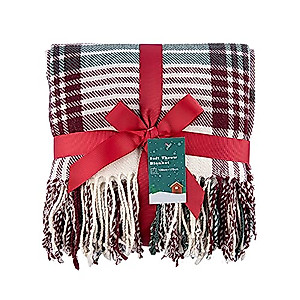 Geehouz Decorative Plaid Blanket Soft Christmas Sage Green Faux Cashmere Throw Blankets with Tassels for Halloween Farmhouse Home Decor 50" x 60" (Sage Green Plaid)