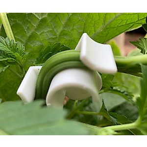 AirTech Home Automation Plant Training Clips, LST Clips for Low Stress Training Plant Stem Support, 90 Degree Angle Plant Clips, Made in California USA, 30pk Green