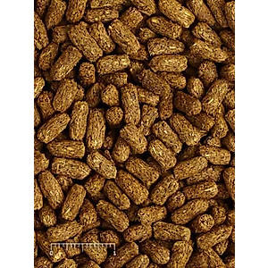 Mazuri Tortoise | Nutritionally Complete Low-Starch Tortoise Food | 25 Pound (25 lb.) Bag