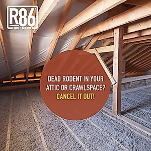 R86 Industrial All-Out Odor Eliminator, Removes Dead Animal Odor, Skunk Odor, Urine, Poop, Musty Basement & More – Natural Formula, Use Wet or Dry, Biodegradable