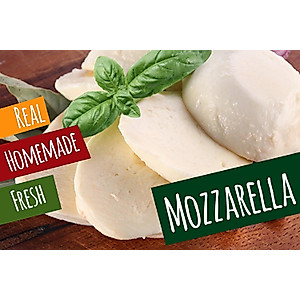 LOVARE Meito Rennet for Cheese Making - Cheese Making Enzymes - Rennet for Making Fresh Cheese 4 x 1 gr. (for 105 gallons/400L of milk) by QG group