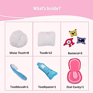 vocheer Educational Plush Toy, Preschool Montessori Educational Toys for Kids, Teaching Kid How to Protect Teeth and Learning What in Their Oral