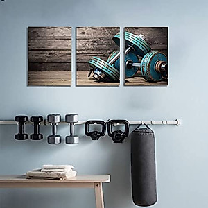 Modular Dumbbells Painting Modern Home Decor Poster 3 Pieces HD Printed Fitness Bodybuilding Gym Canvas Wall Art Wooden Art