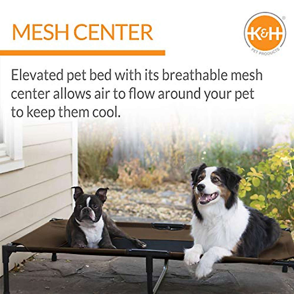 K&H Pet Products Original Pet Cot Elevated Dog Bed Chocolate/Black Mesh X-Large 32 X 50 X 9 Inches