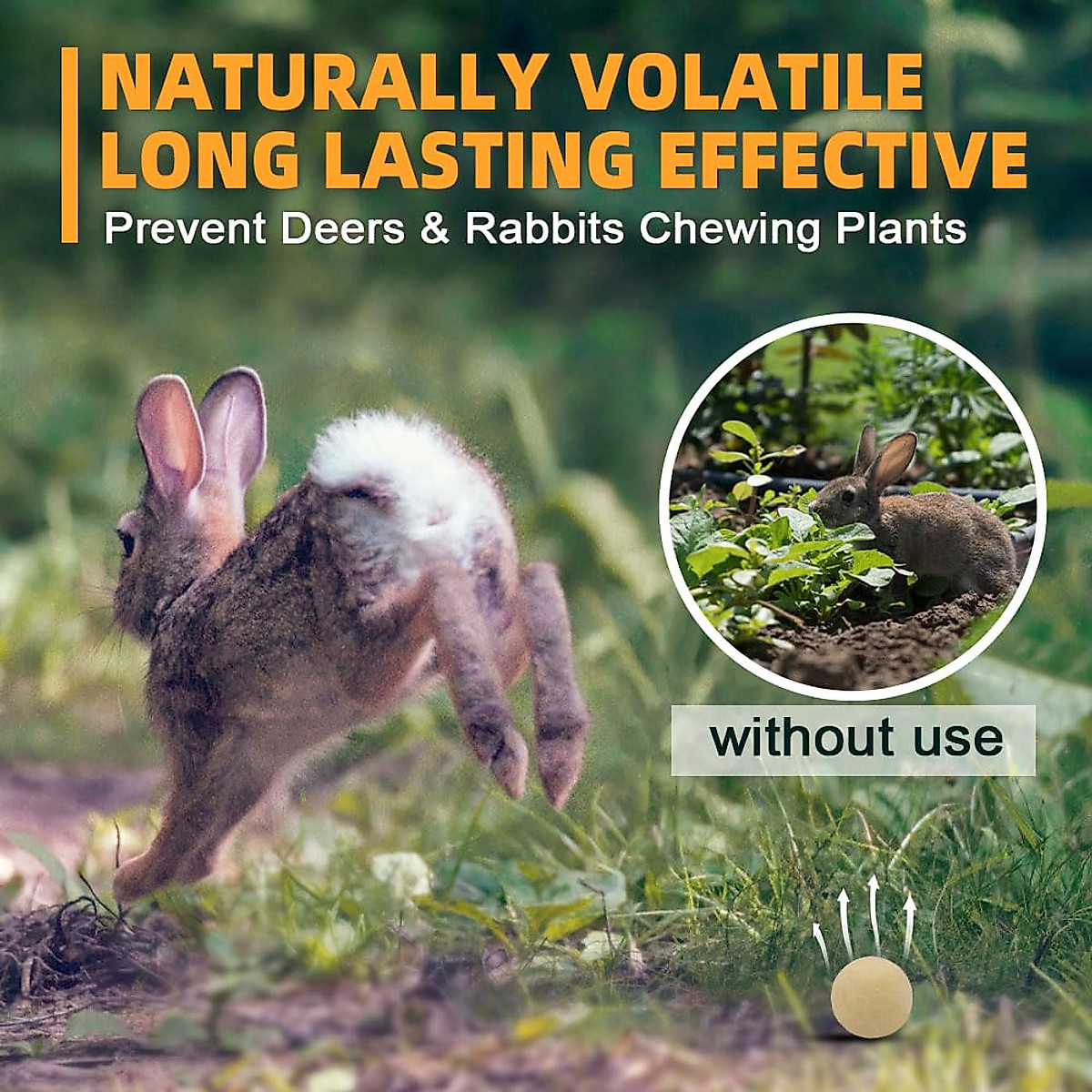 Ksqurelnb Deer Repellent, Rabbit Repellent Outdoor, Deer and Rabbit Repellent for Plants, Powerful Rabbit Repellent for Darden, Deer Deterrent for Darden, Deer Away, Rabbit Deterrent for Yard - 8P