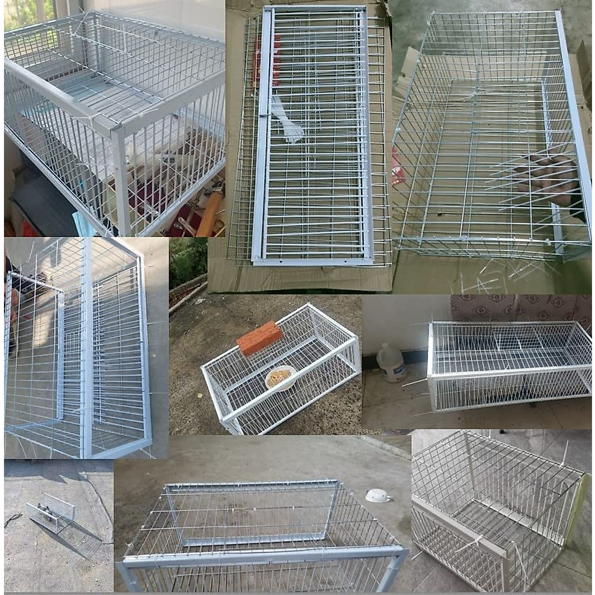 Big Foldable Galvanised Pigeon Dove Bird Trap Cage Feral Pigeon Humane Way with The one-Way Entrance Trapping Pigeons Doves in Cages (40x40x26 4Entrance)