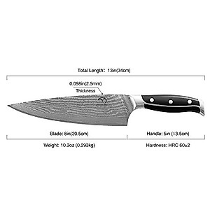 Damascus Kitchen Knife, 8 Inch Chef Knife Professional Kitchen Knife Forged with VG10 Super Steel 67-Layer Damascus, Non-slip ABS Ergonomic Triple Rivet Handle, Razor Sharp Lightweight Multipurpose