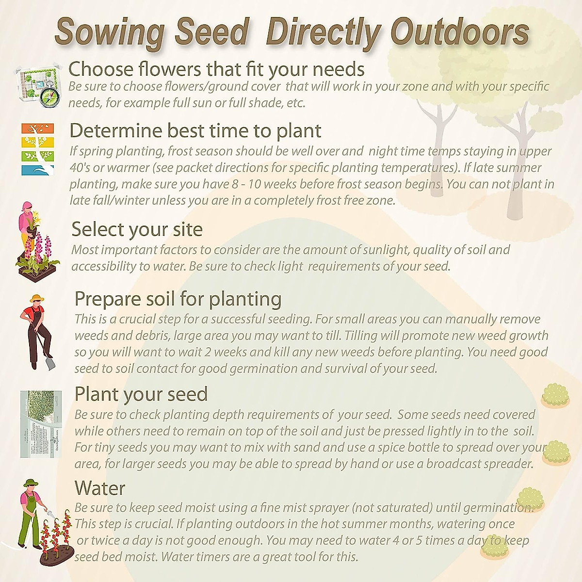 Perennial Sunflower Seeds for Planting - Plant & Grow Maximilian Sun Flowers in Your Home Outdoor Garden - 500 Non GMO Heirloom Seeds - Full Planting Packet with Instructions for Easy Grow, 1 Packet