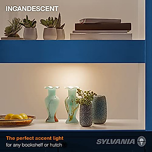 SYLVANIA Mini-Floodlight Incandescent Bulb, 40W R14, Medium Base, Reflector, 185 Lumens, 2850K, 120V, Frosted, Soft White - 1 Pack (14819)