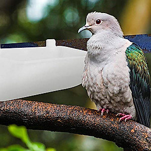 Hemoton 5PCS Bird Feeder Bird Food Feeding Cup Pet Bird Waterer Plastic Water Feeder Hanging Bowl for Poultry Parrot Pigeon Cage