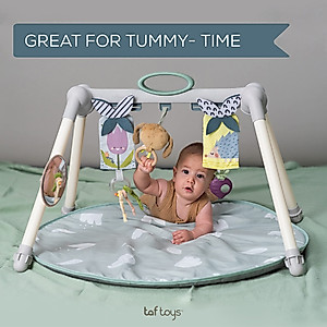 Taf Toys Foldable Baby Play Gym. Double Sided Infant Activity Center with Black, White & Color Toys, XL Baby-Safe Mirror & Activity Toys. Hanging Bar Toddler Toy Little Dove Baby Playmat
