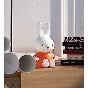Miffy Portable Bluetooth Speakers, Cute Portable Wireless Speakers with Loud Stereo Sound, Built-in Mic, TF-Card Slot, Dual Pairing,40H Playtime for Room, Desk Decor, for her (Orange)