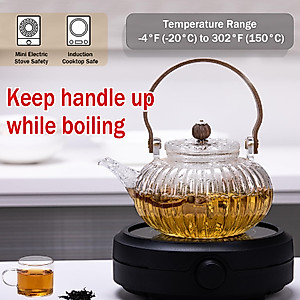Motanber Pumkin Glass Teapot,Stovetop & electric stove Safe,clear kettle with infuser,27 oz(800ml), For Blooming Flower Tea and Loose Leaf Tea Maker Set