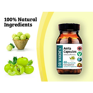 DR WAKDE'S Amla Capsules (Amalaki, Indian Gooseberry, Emblica officinalis, 60 Veg Caps, Plant-Based Supplement, Ayurvedic Herb, All Natural, Vegan)