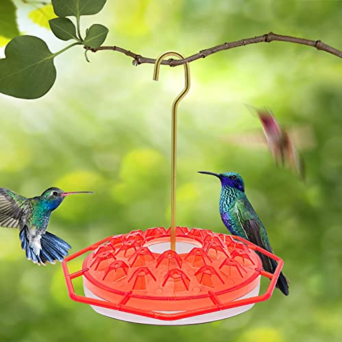 Hummingbird Feeders for Outdoors Hanging, Leak Proof Hummingbird Feeder Built-in Moat with 25 Feeding Ports 12 oz Capacity can Feed More Hummingbirds, Easy to Clean, Fill and Install (1)