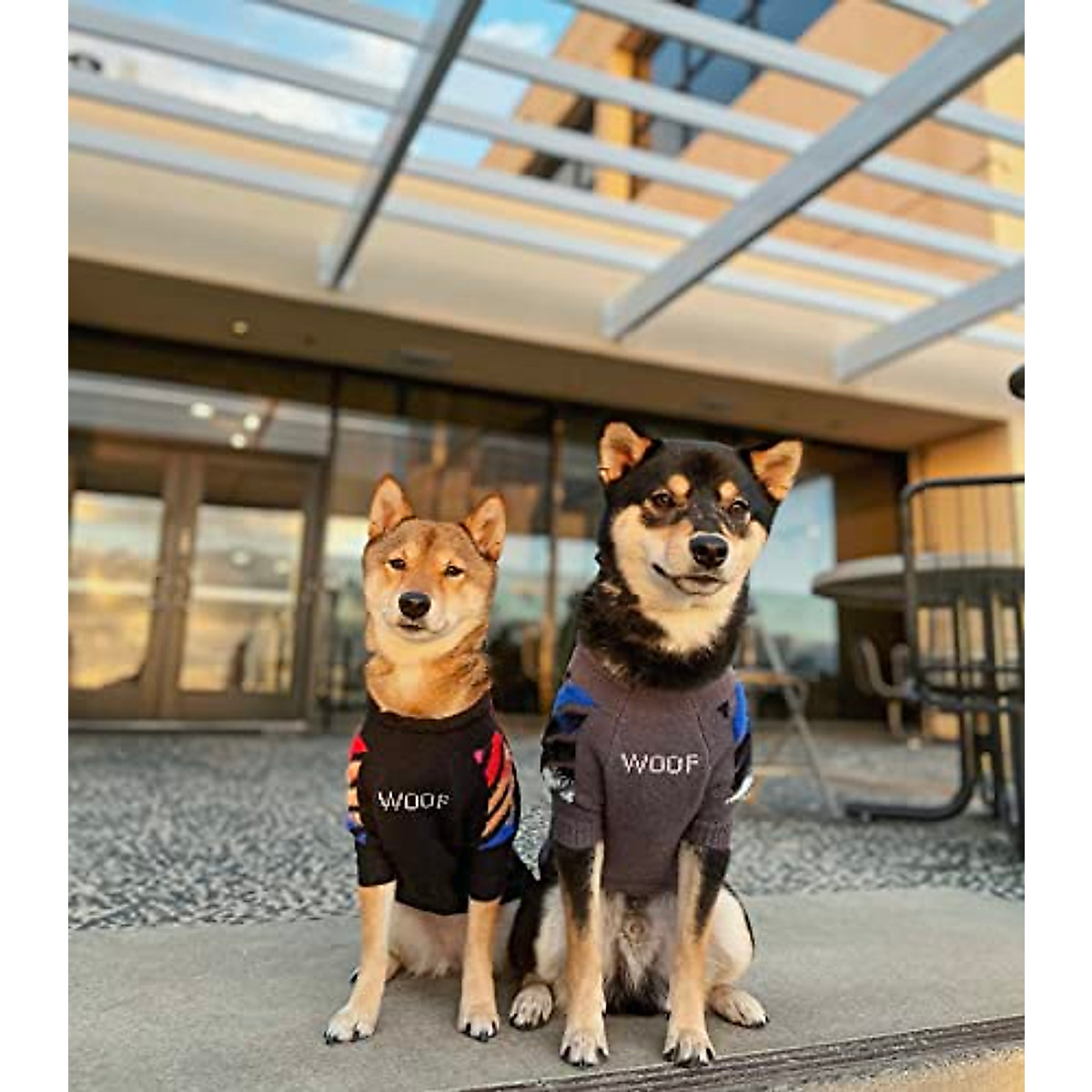 ChoChoCho Woof Knit Dog Sweater, Fashion Design Thermal Knitted Dog Sweaters for Dogs Puppy Small Medium Large, Warm Doggy Sweater Winter Clothes (Blue/Grey, 5XL)