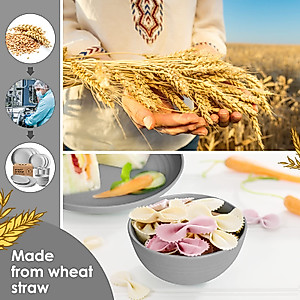 Teivio 32-Piece Kitchen Plastic Wheat Straw Dinnerware Set, Service for 8, Dinner Plates, Dessert Plate, Cereal Bowls, Cups, Unbreakable Colorful Plastic Outdoor Camping Dishes, Grey