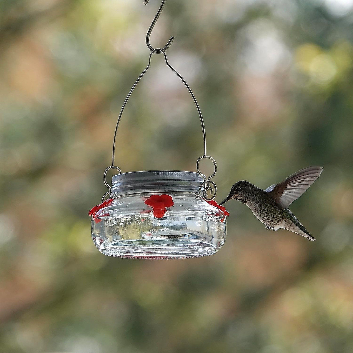 Nature's Way Bird Products MJF1 Nature's Way Mason Jar Hummingbird Dish Feeder, Clear 4" dia.