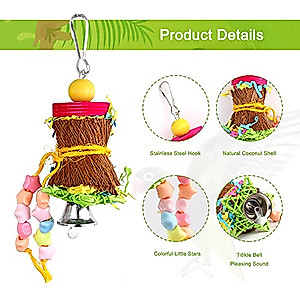 YUEPET 4 Pack Bird Shredder Toys Small Parrot Chewing Toys Parrot Cage Foraging Hanging Toy for Small Bird Parakeets Parrotlets Lovebirds Cockatiels