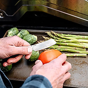 Kershaw Parley Manual Folding Pocket Knife with Cleaver Style Blade, Slipjoint Design with Nail Nick, 3.1 inch Blade and Micarta Handle, Black