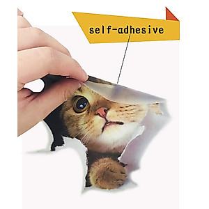 Animals Cute Cat Wall Sticker Living Room Bedroom Decoration Animal Wall Stickers Bathroom/Toilet/Refrigerator/Car/Nursery Room/PVC/Kitchen 3D Wall Decals